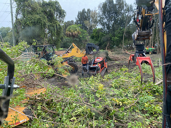 Forestry Mulching Sarasota | Sarasota County Forestry Mulching Services